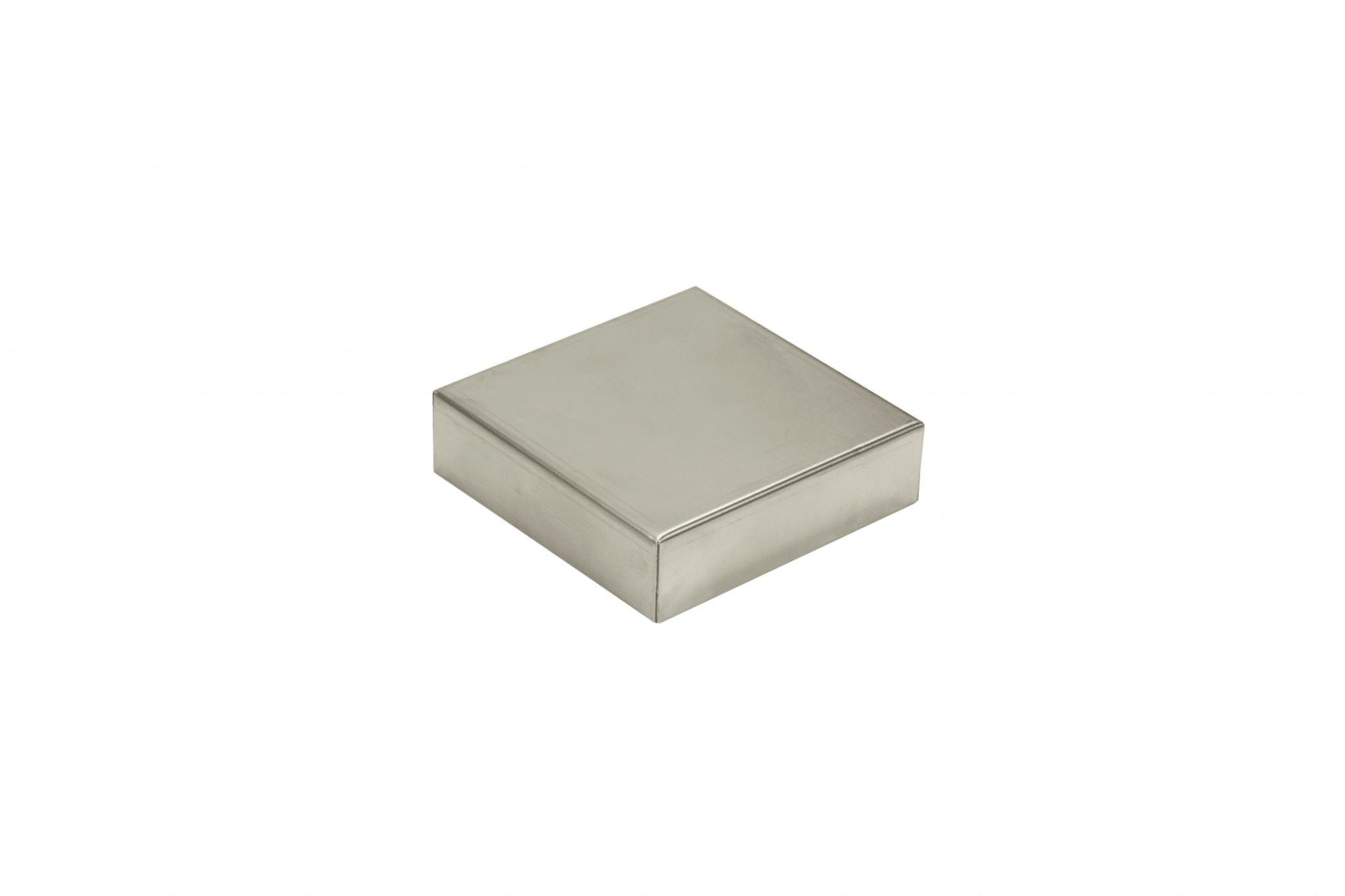 RVS Afdekkap - Randijk Bamboe & Hoveniers