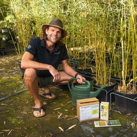 Randijk Bamboe & Hoveniers | Biologische bamboekwekerij | Bamboo